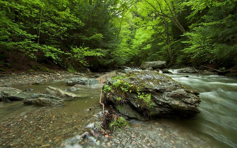 AWOL Stowe - Stowe, Vermont | Cady Hill Forest - Stowe, Vermont | Lark ...