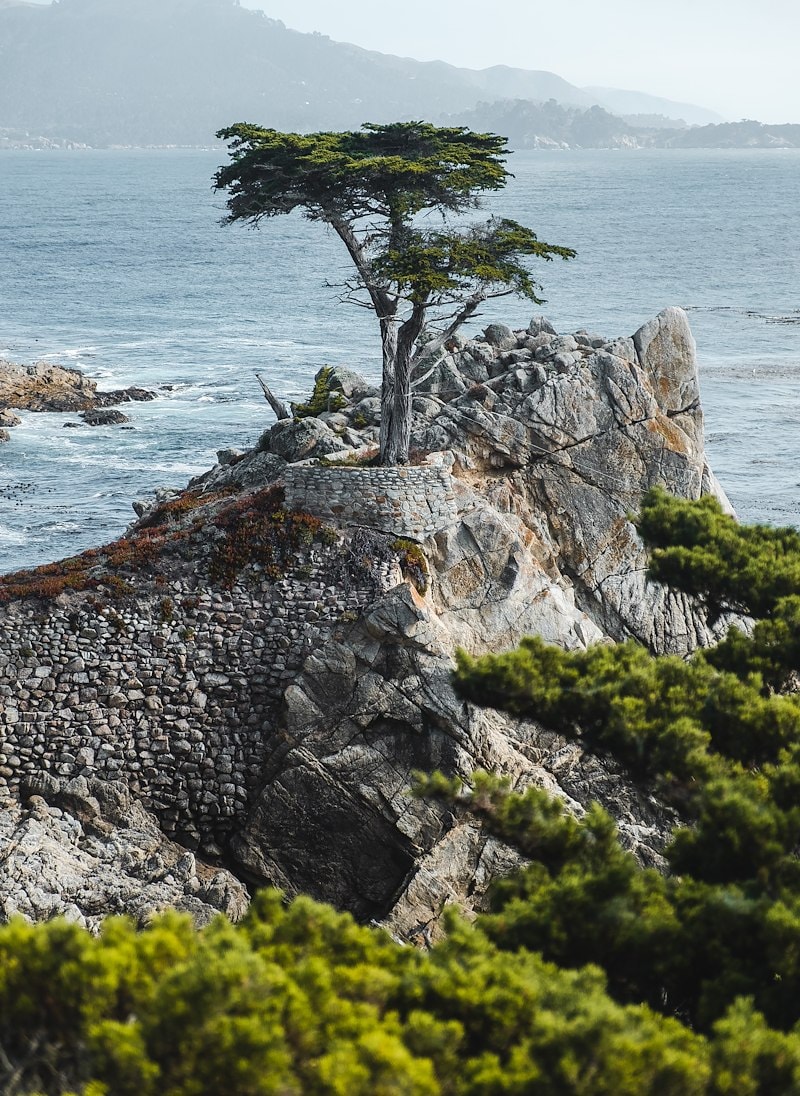 Tradewinds - Carmel-By-The-Sea boutique hotel in California