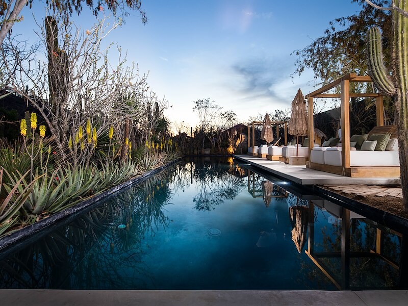 Odentio Method | Odentio