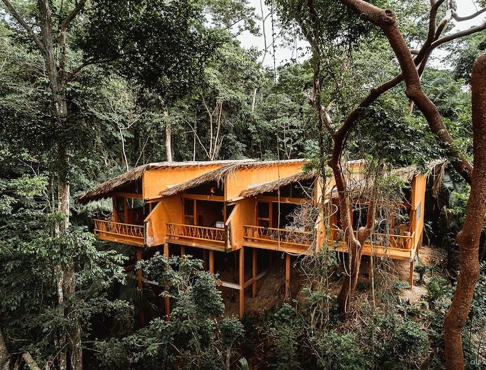 Empresa de Consultoría Hotelera | Sus Socios de Negocios | Odentio