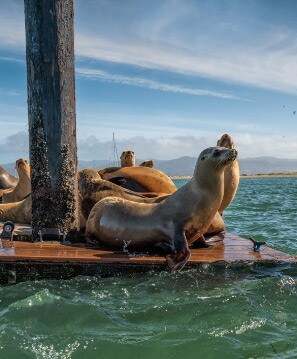 Morro Bay Hotel on the Water | Inn at Morro Bay CA