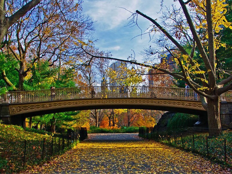 It's (Already) Pumpkin Spice Season! | Fall & Halloween in NYC 2025