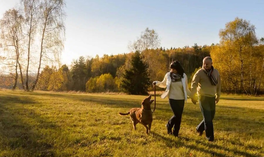 Contact Us - StrideCare