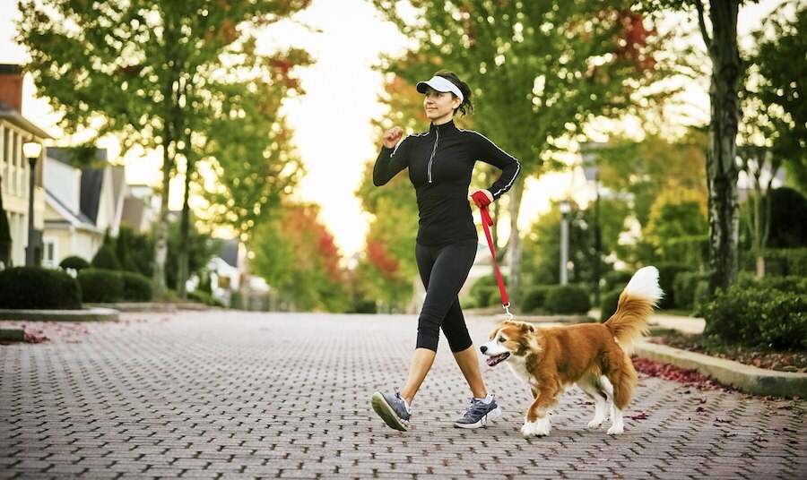 Vascular - StrideCare