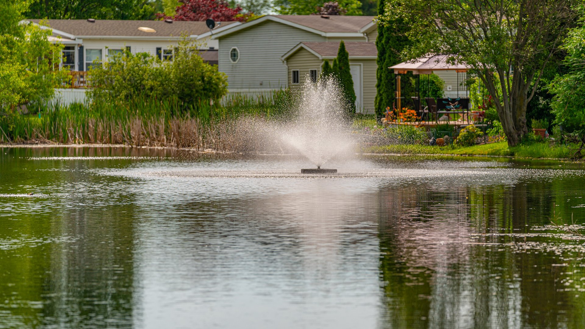 Manufactured Homes in Brighton, Michigan - Sylvan Glen Estates