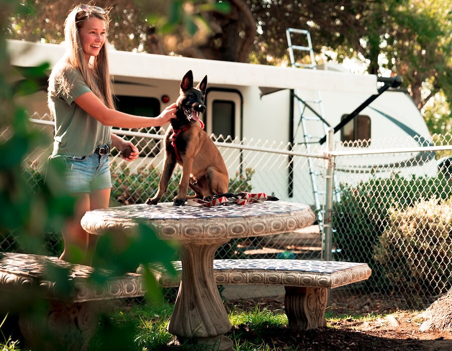 Pet Friendly RV Parks | Sunland RV Resorts