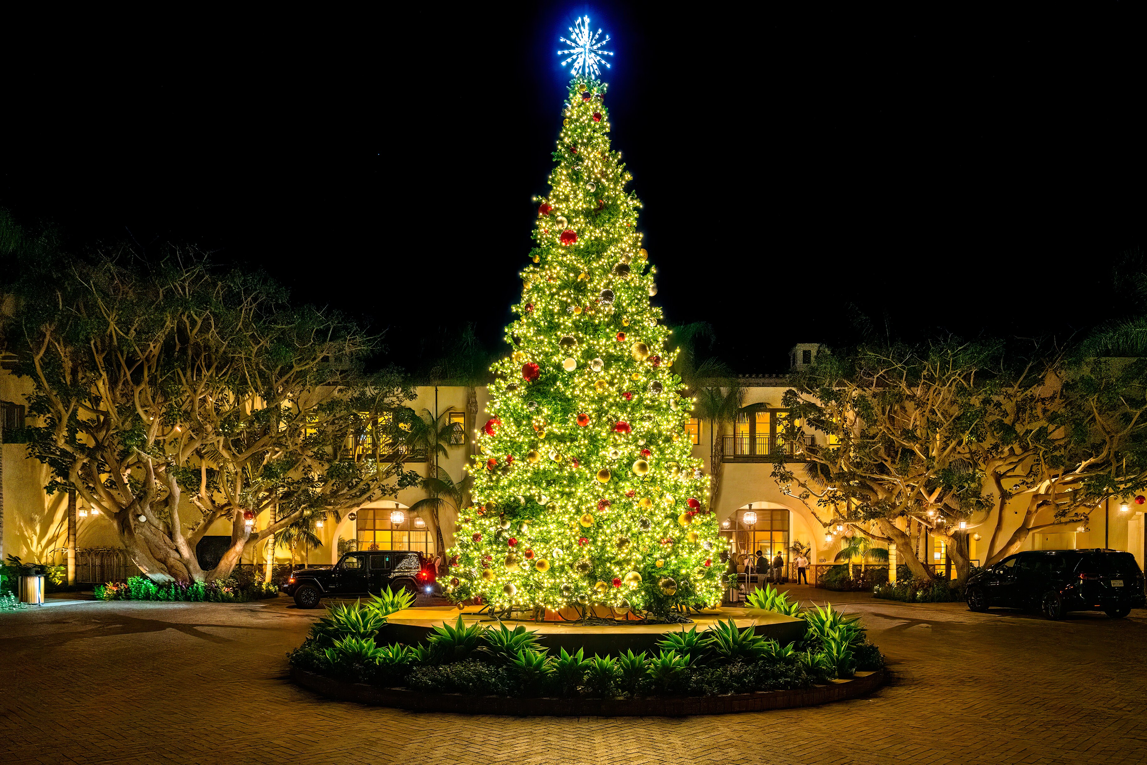 Poolside Terranea Dining | Terranea Resort