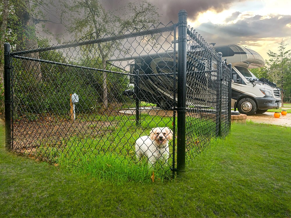Photo Gallery – RV Resort in Bryan TX | Great Escapes BCS