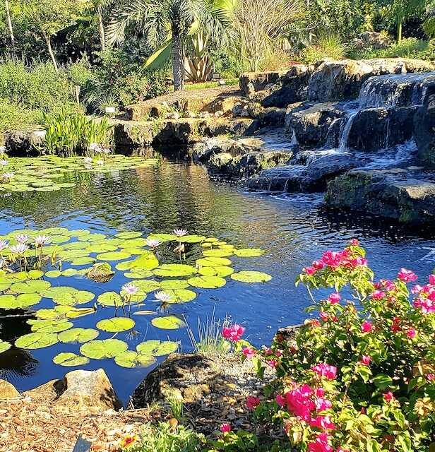 Explore Things to Do Near Perrin TX | Local Attractions