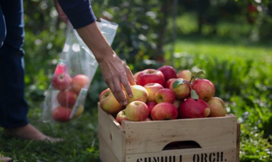 4 Great Spots to Experience Our Fresh Local Flavor