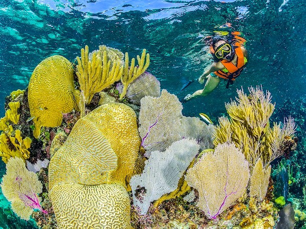 The Reef 28 | Resort Adults Only in Playa Del Carmen