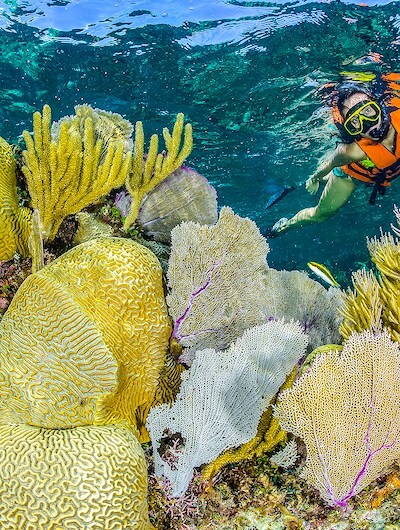 The Reef Playacar Optional All-Inclusive Resort | Official Site