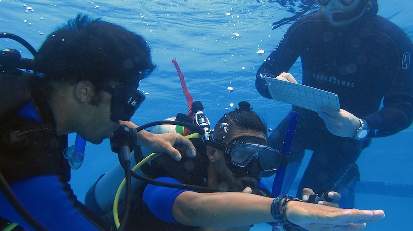 Reef Marina | The Reef Marina diving and water sports center