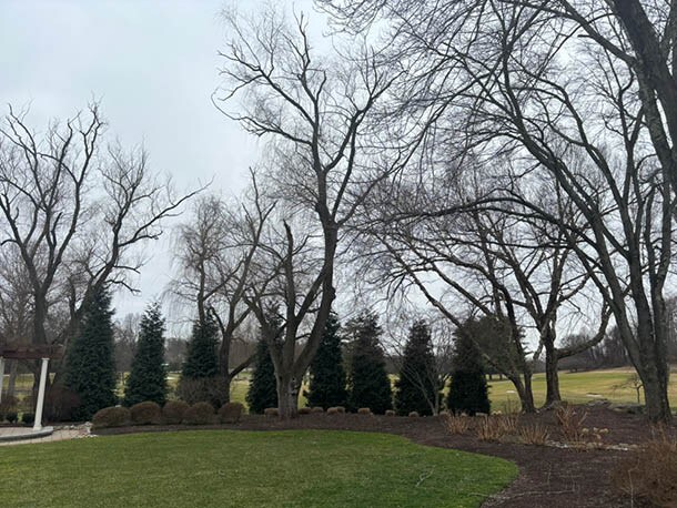 Garden Update - Turf Valley Resort