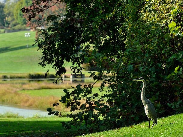 Media - Turf Valley Resort