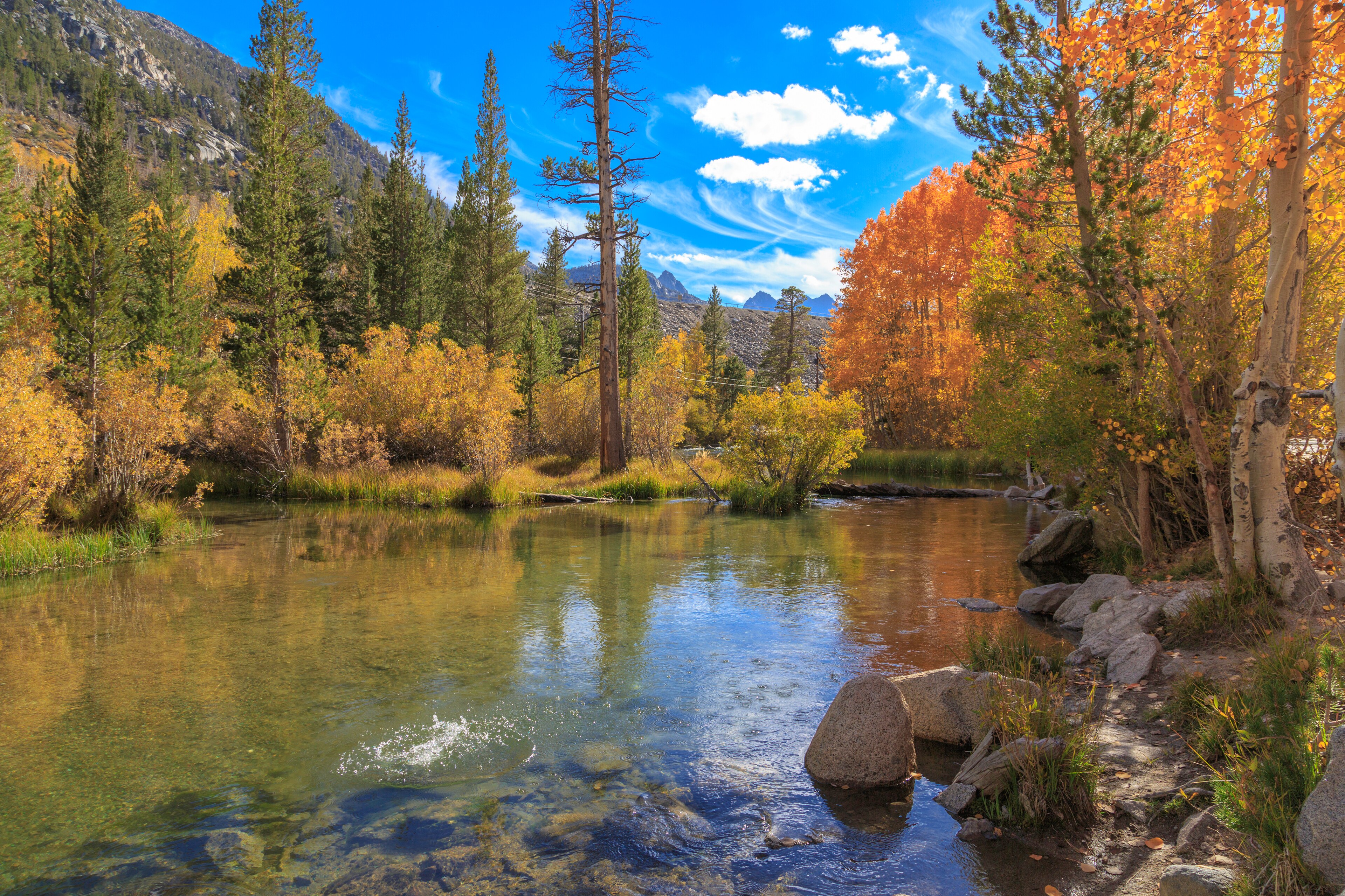 Bakersfield Hotels | Vagabond Inn - Bakersfield (North)