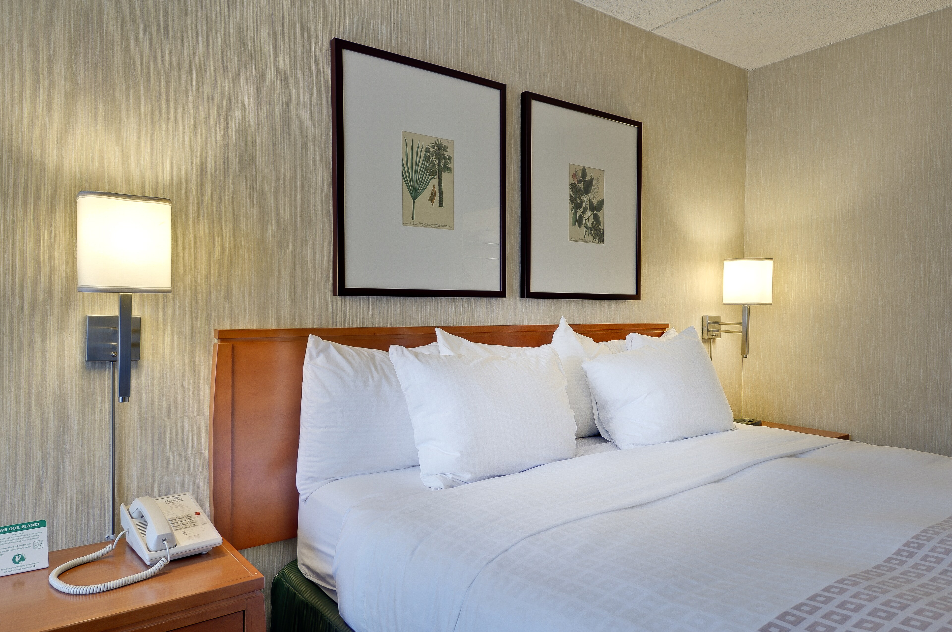 Hotels in Sacramento | Vagabond Inn Executive Sacramento