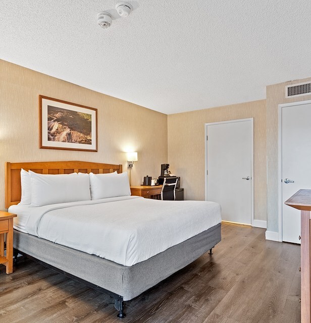 Hotel Rooms Near San Francisco | Vagabond Inn Executive SFO