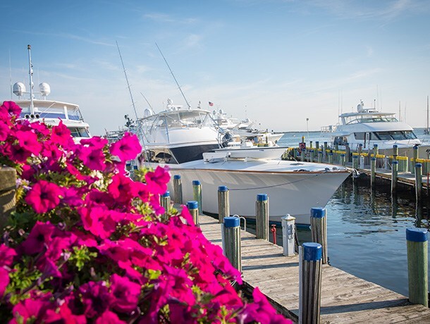 Discover Our Marina in Nantucket Harbor | Nantucket Boat Basin