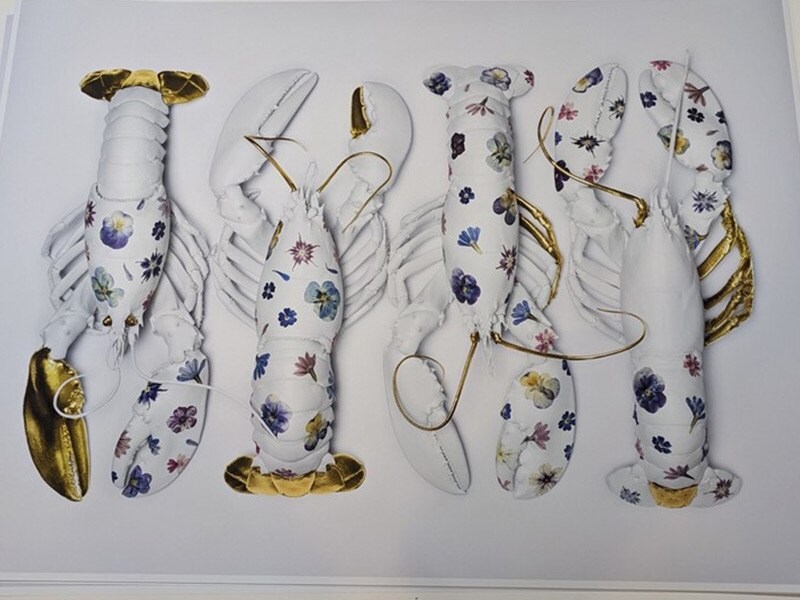 Stunning Art Collection | White Elephant Nantucket