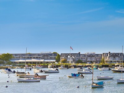 white elephant gallery