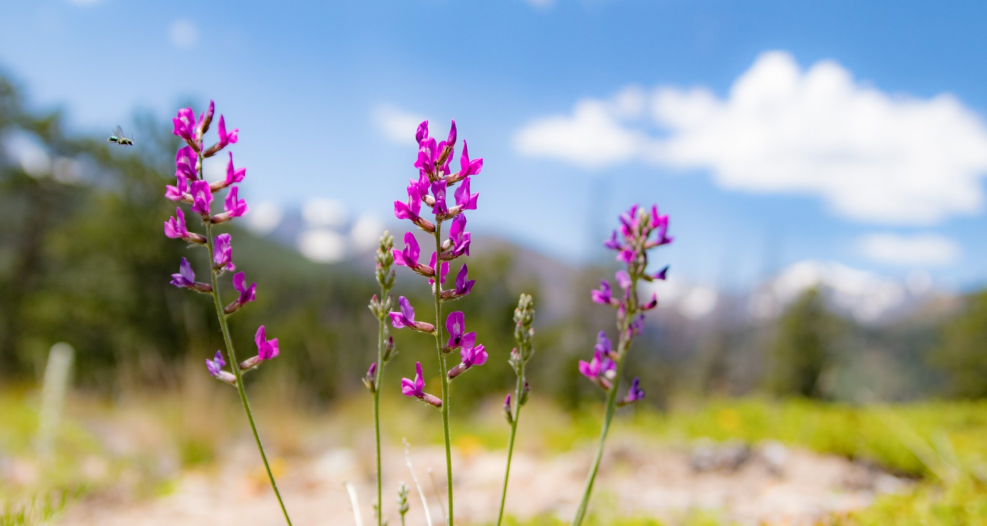 Snow Mountain Ranch Lodging | YMCA of the Rockies