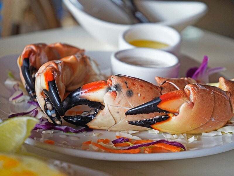 Joe's Stone Crab: A Must-Visit in Miami