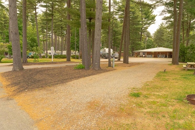 Sun Retreats Wild Acres