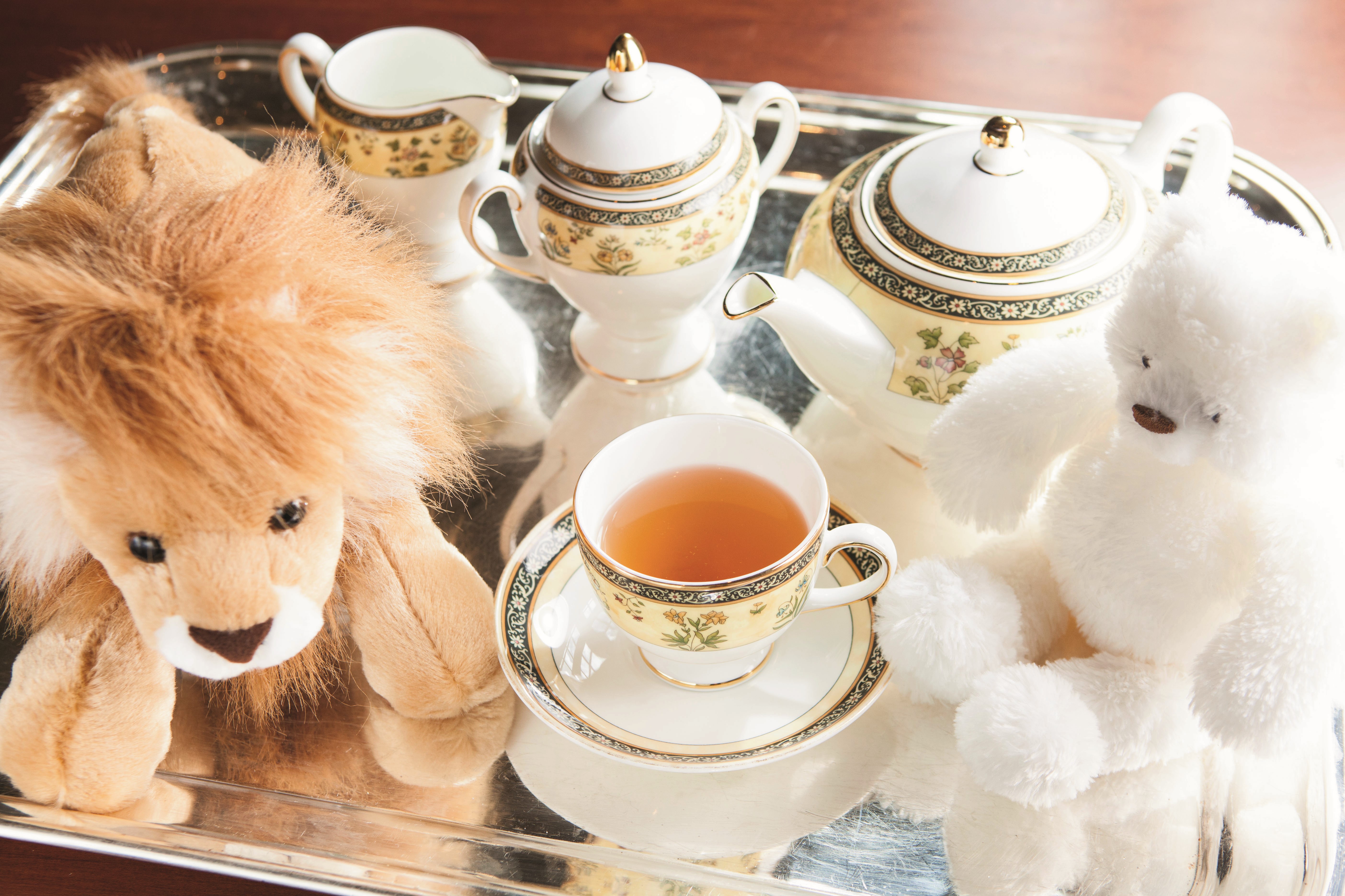 Teddy Bear Tea