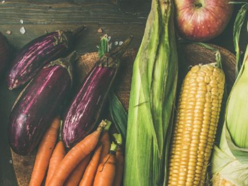 Our 2023 Fall and Winter Menus