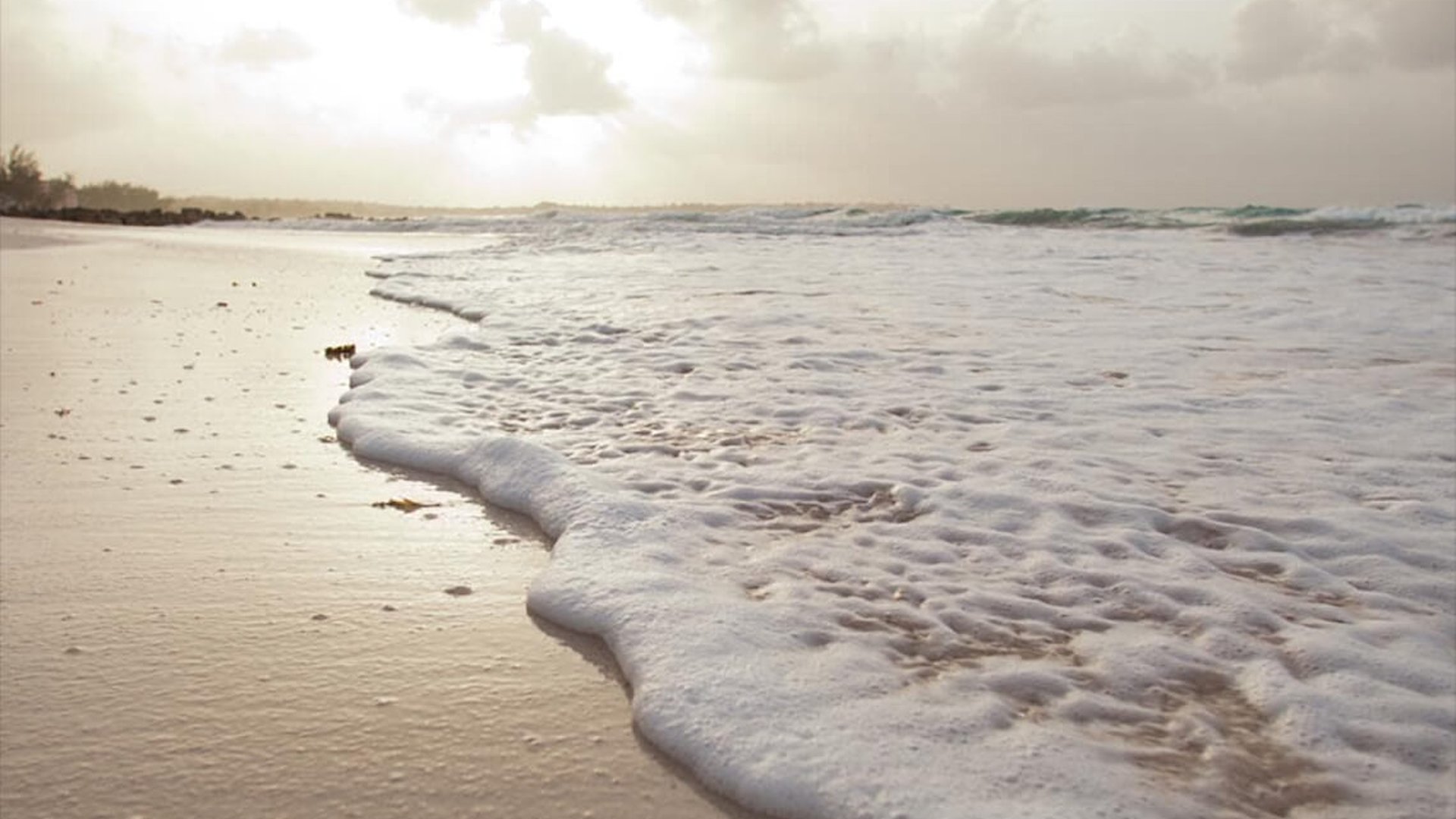 Turtle Beach, Barbados, A Tribute Portfolio All-Inclusive Resort ...
