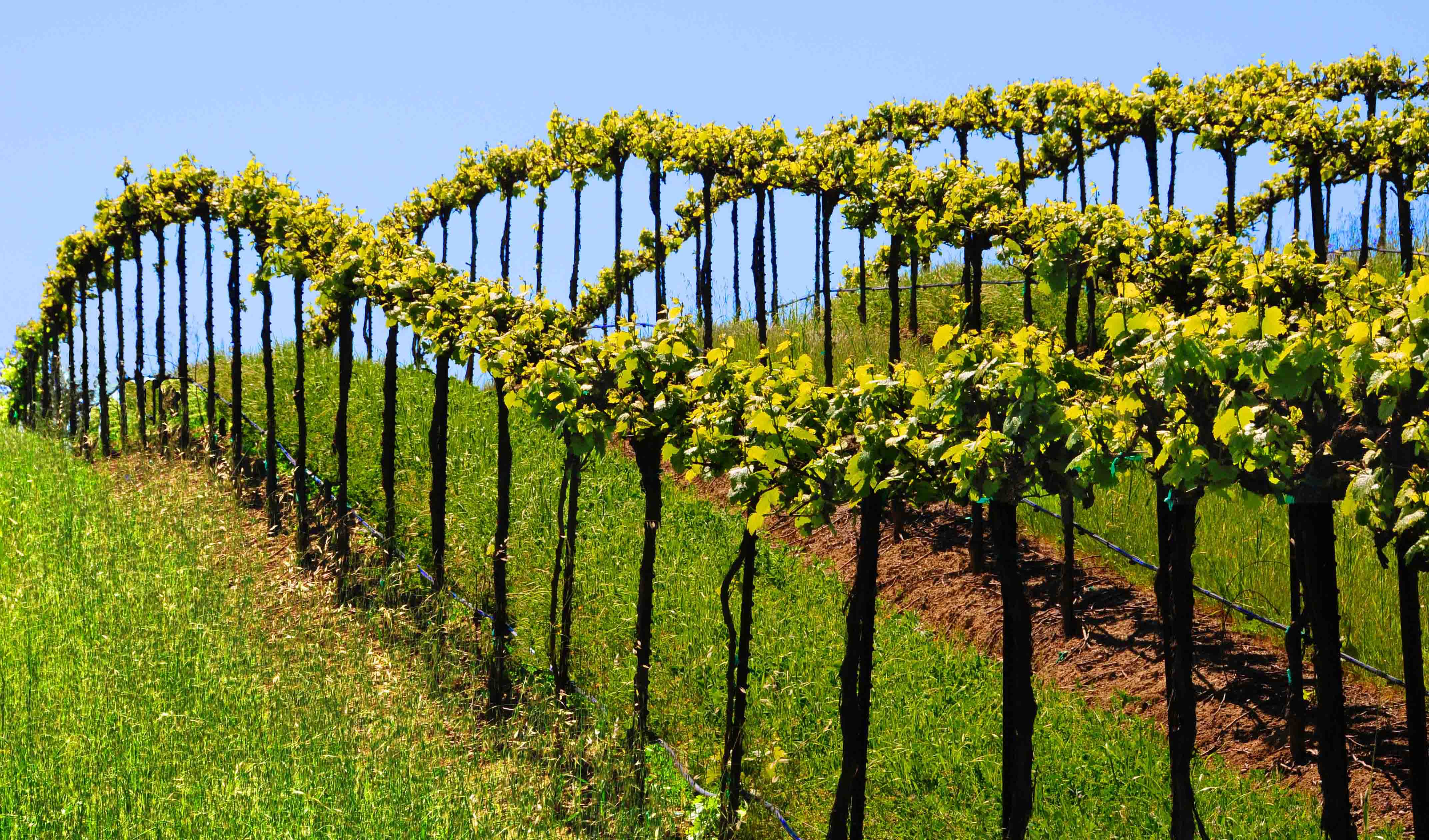 It's always a good day for Bubbles