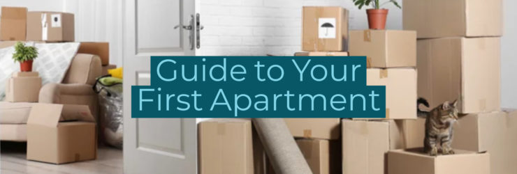 The Ultimate Guide to Your First Apartment