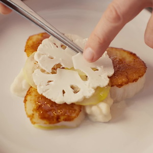 Michelin Star Tampa | Lilac