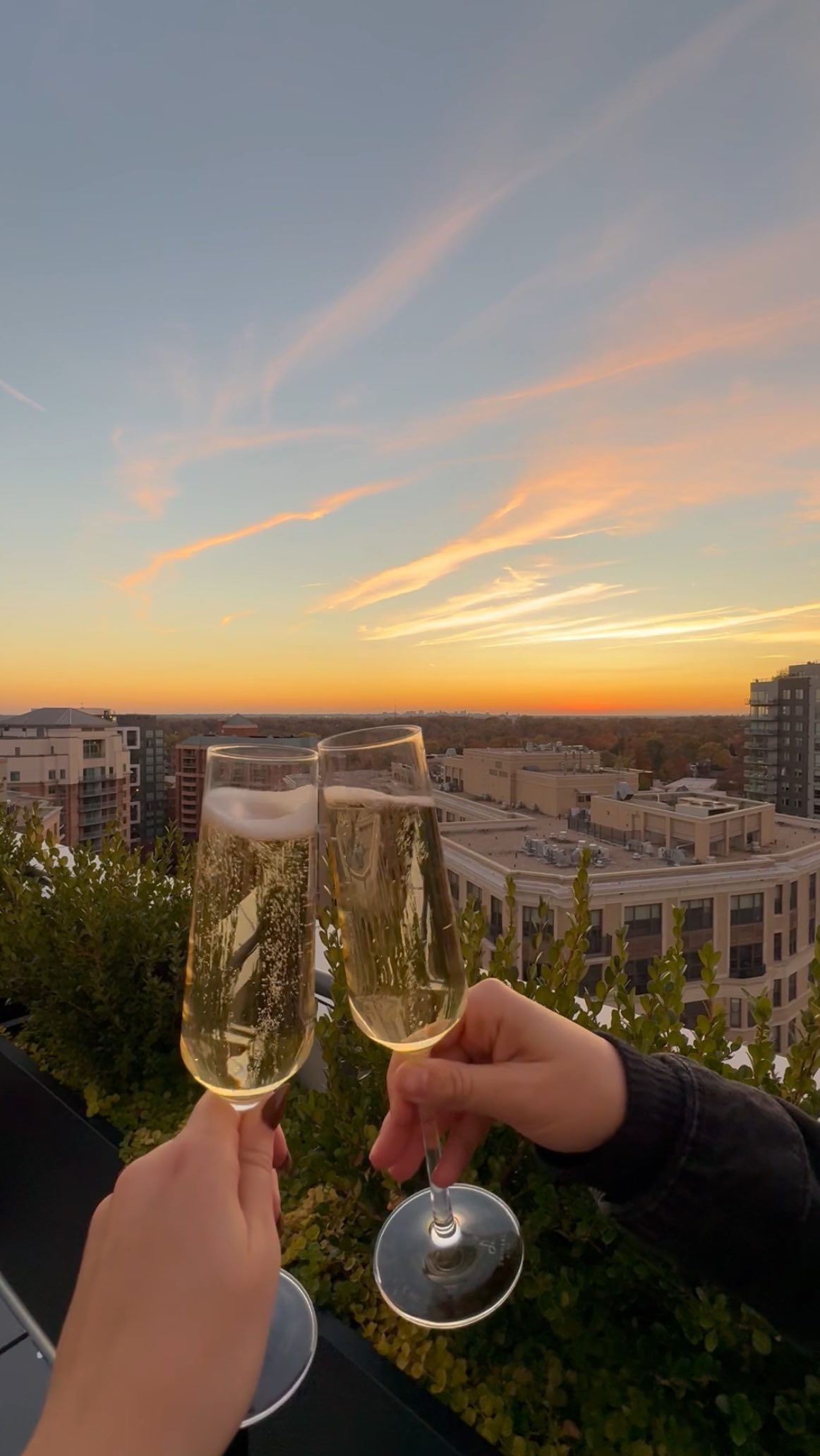 Home [www.hipflaskrooftop.com]