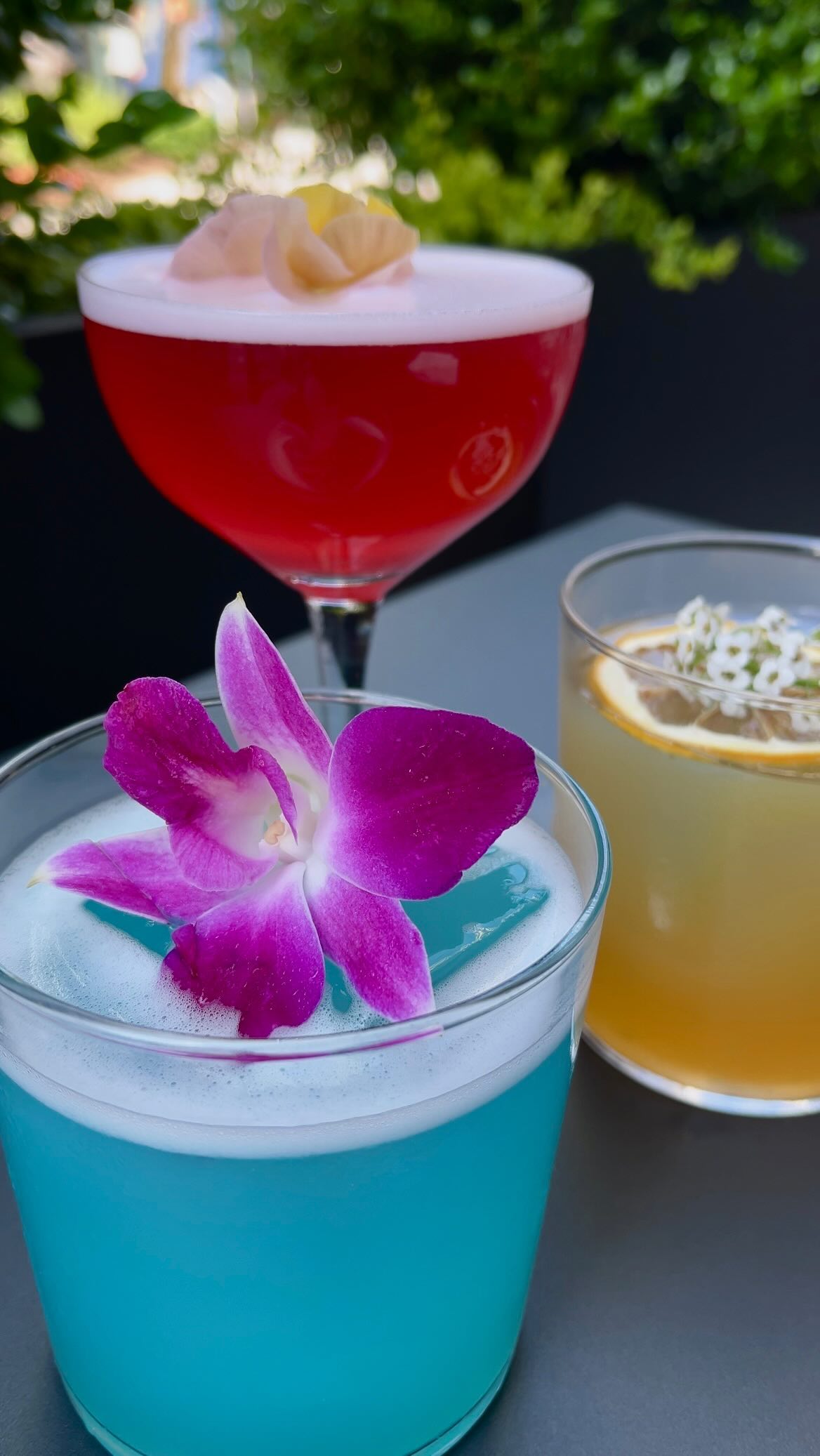 Home [www.seventhstaterestaurant.com]