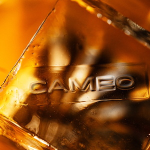 Hotel Bar, Melbourne | Cameo Bar | The Ritz-Carlton, Melbourne