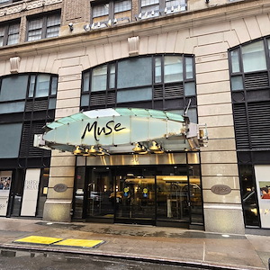 New York Hotels | The Muse New York