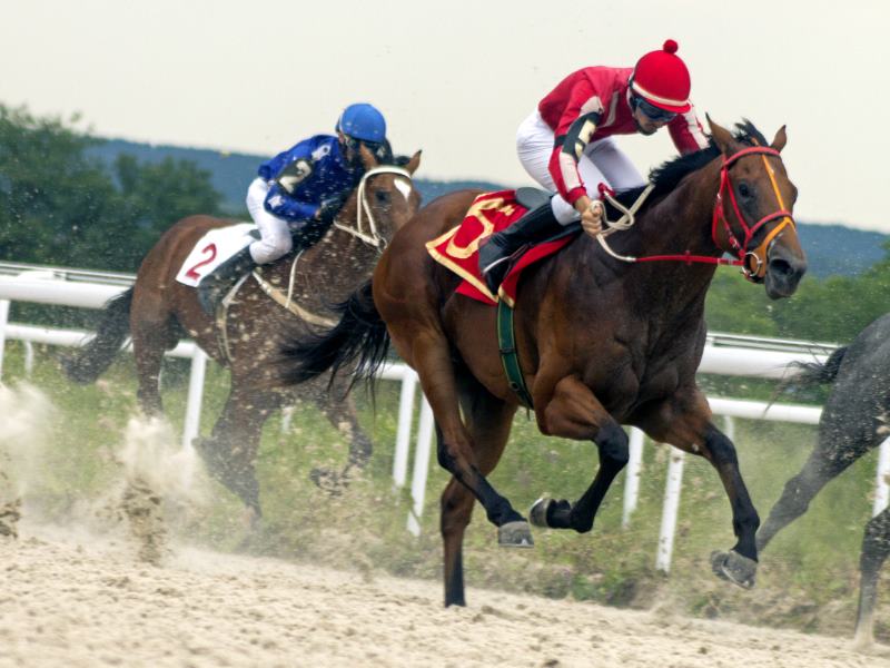 Derby Weekend