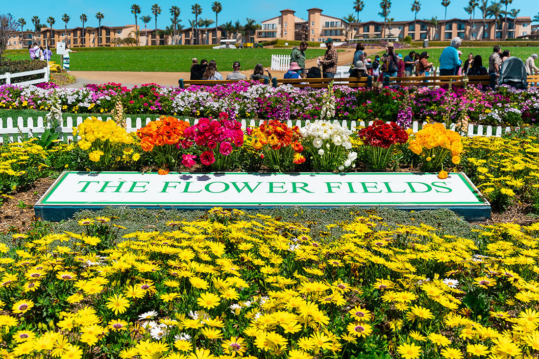 Springtime in California and here are the favorite spots to visit