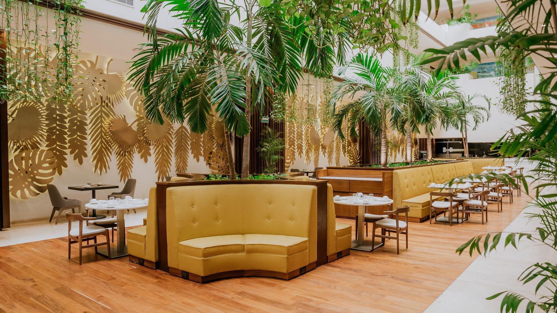 ¡Explore great amenities with all the luxury at the reef resorts!