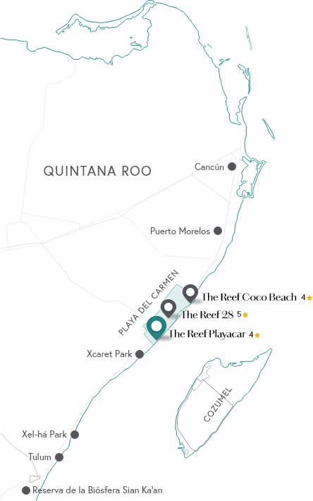 Oceanfront Escape – Book Direct at The Reef Coco Beach