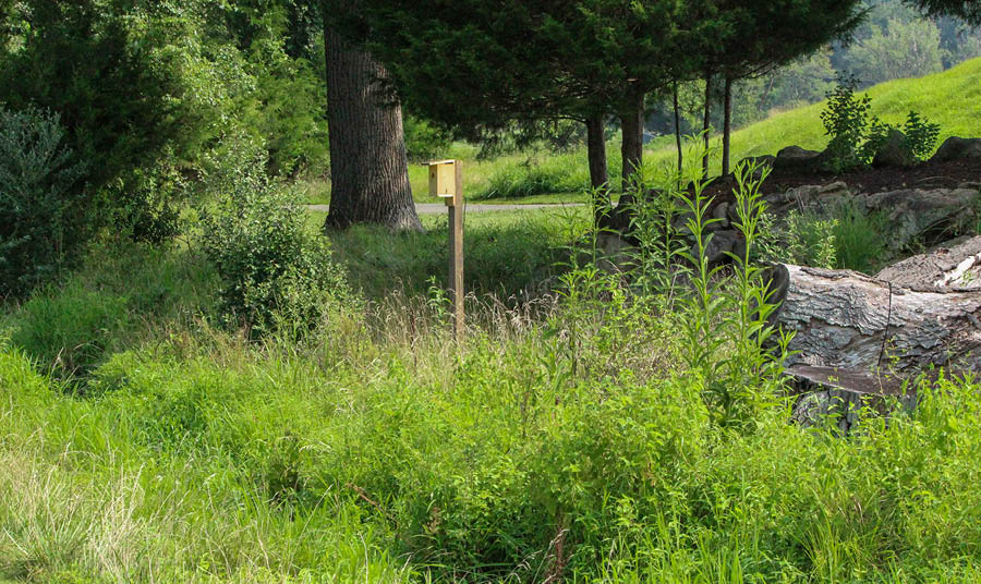 Fairways for the Future: Turf Valley's Commitment to Sustainability