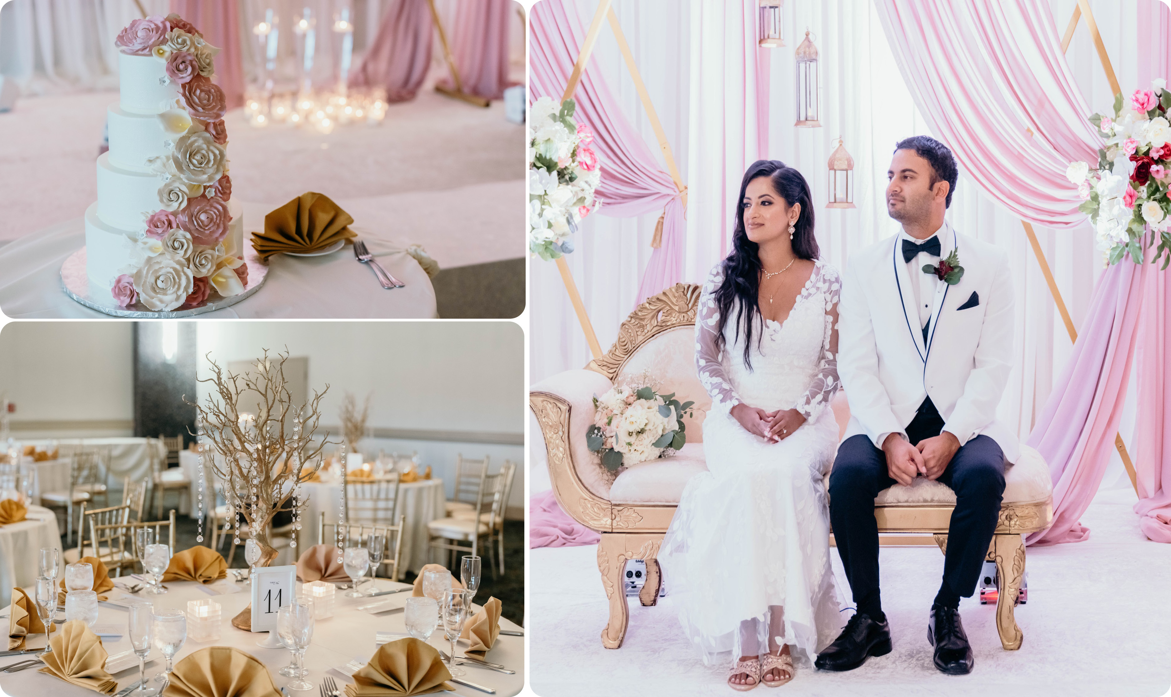 Josh Tolman Wedding