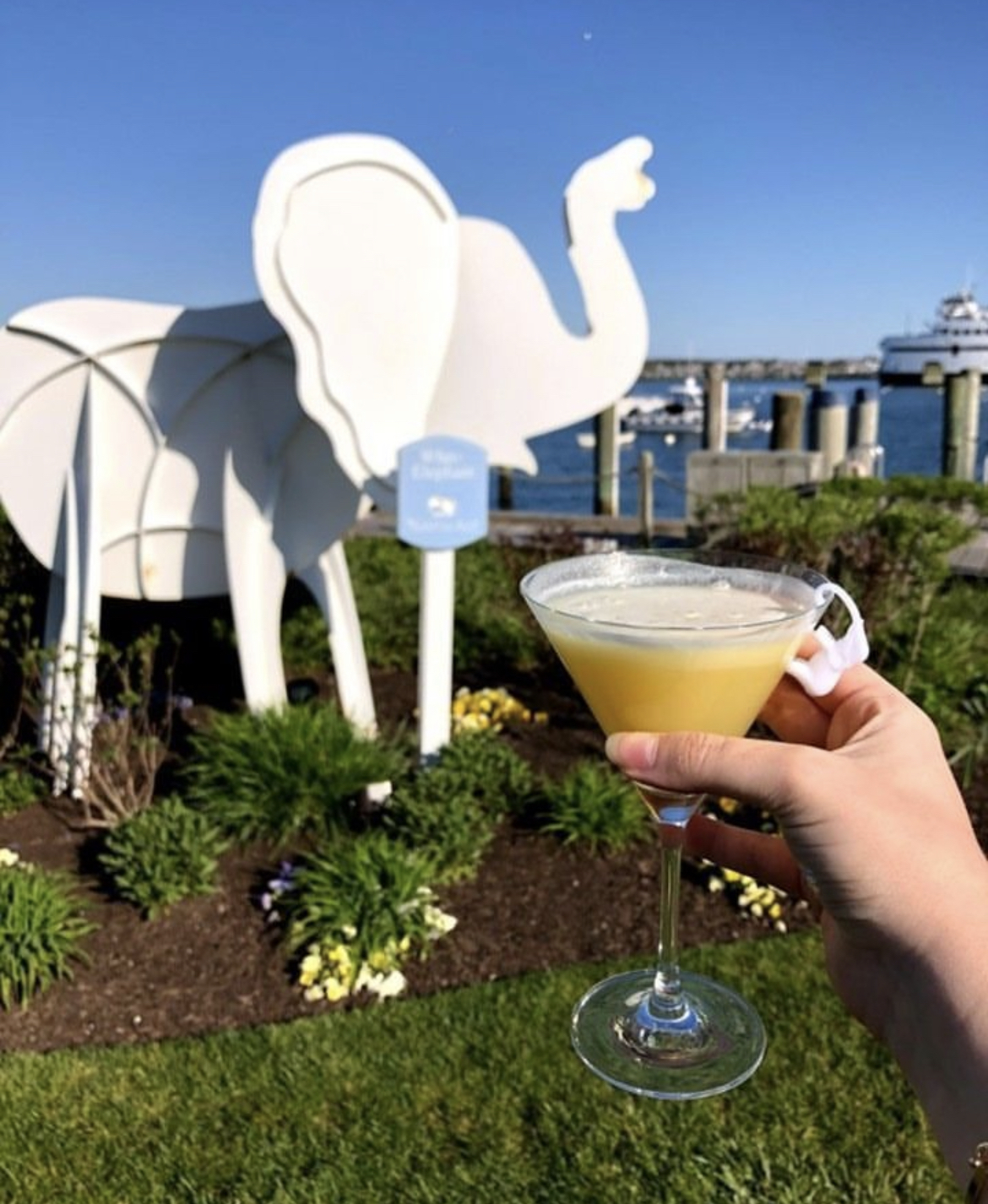 Spring Events & Activities | White Elephant Nantucket