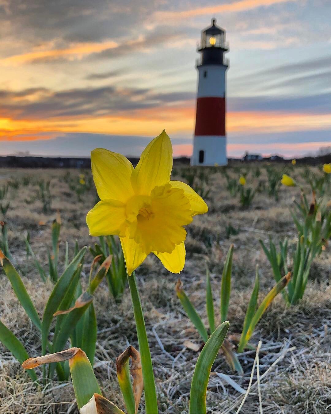 The Top 10 Most Instagrammable Spots on Nantucket