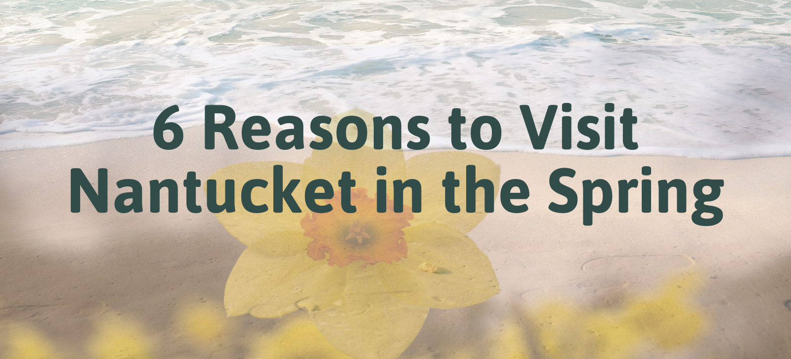 6 Reasons to Visit Nantucket in the Spring