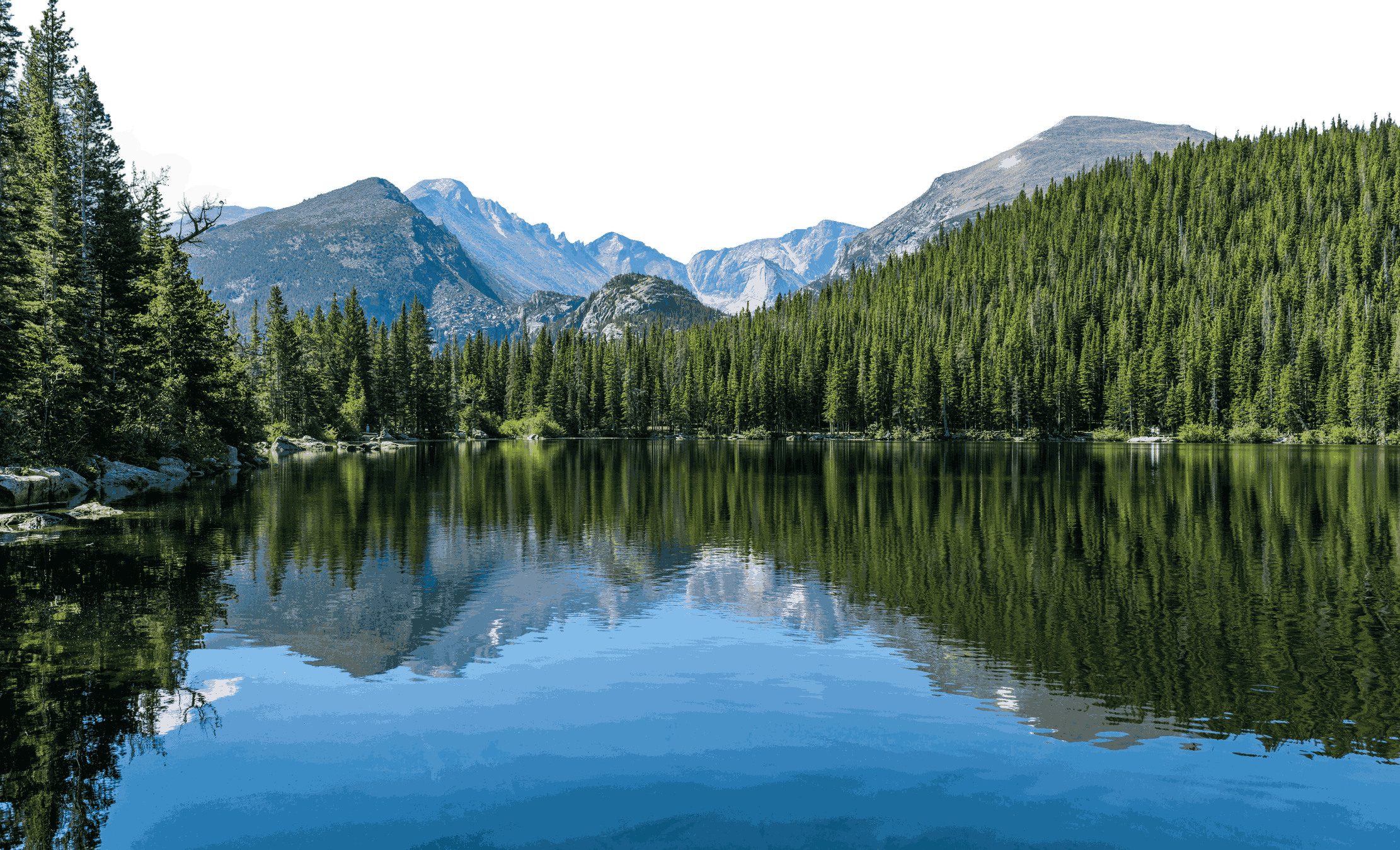 A Sweet New Chapter Begins This January